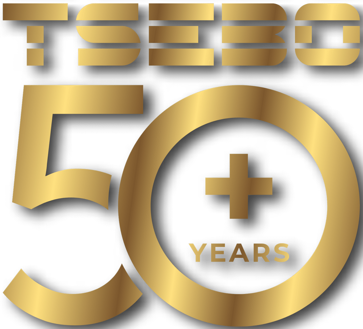 Tsebo Facilities Solutions Kenya Ltd | Top Facilities Management ...
